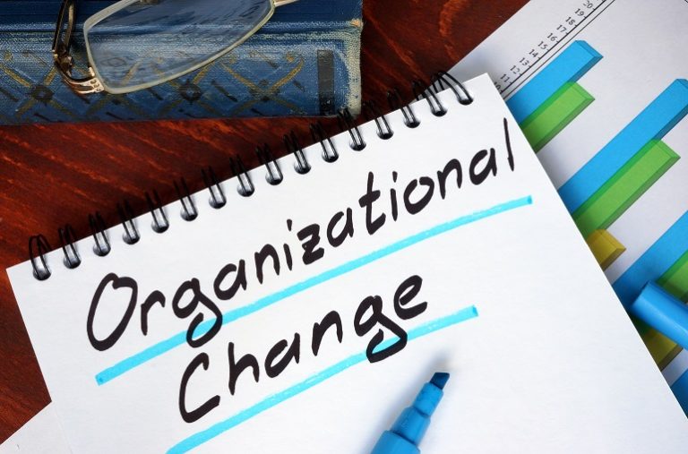OCM Explained - What is OCM Meaning, Change Management Strategy