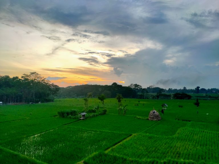 Biodynamic Farming: A Comprehensive Guide for Beginners - Folio3 ...